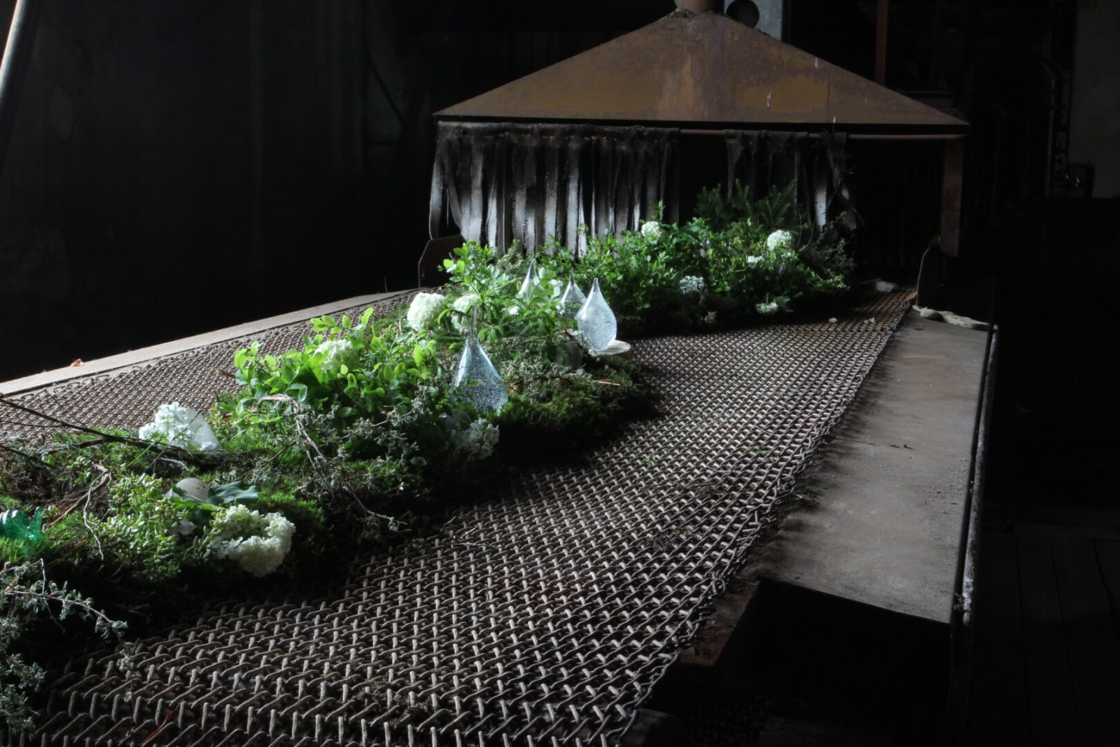 Fragi Le Sphere | Floristika – web plný inspirace pro floristy a květináře